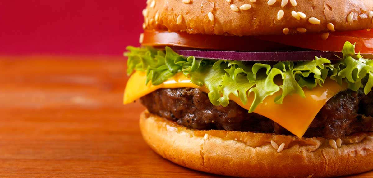 No Fillers In The Patty Please : Northview Community Church