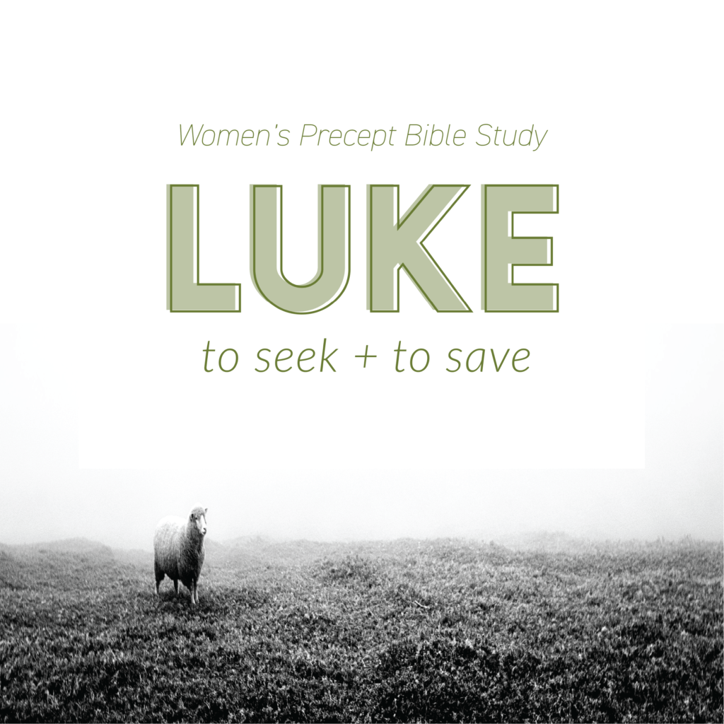 Luke Monday Livestream : Northview Community Church