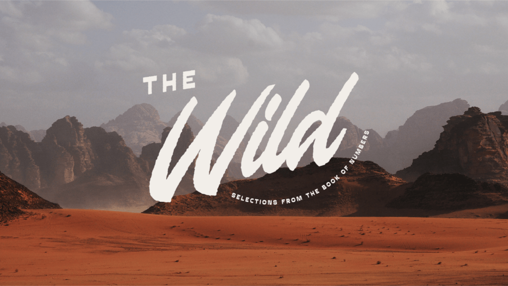 The Wild- Numbers 11 : Northview Community Church